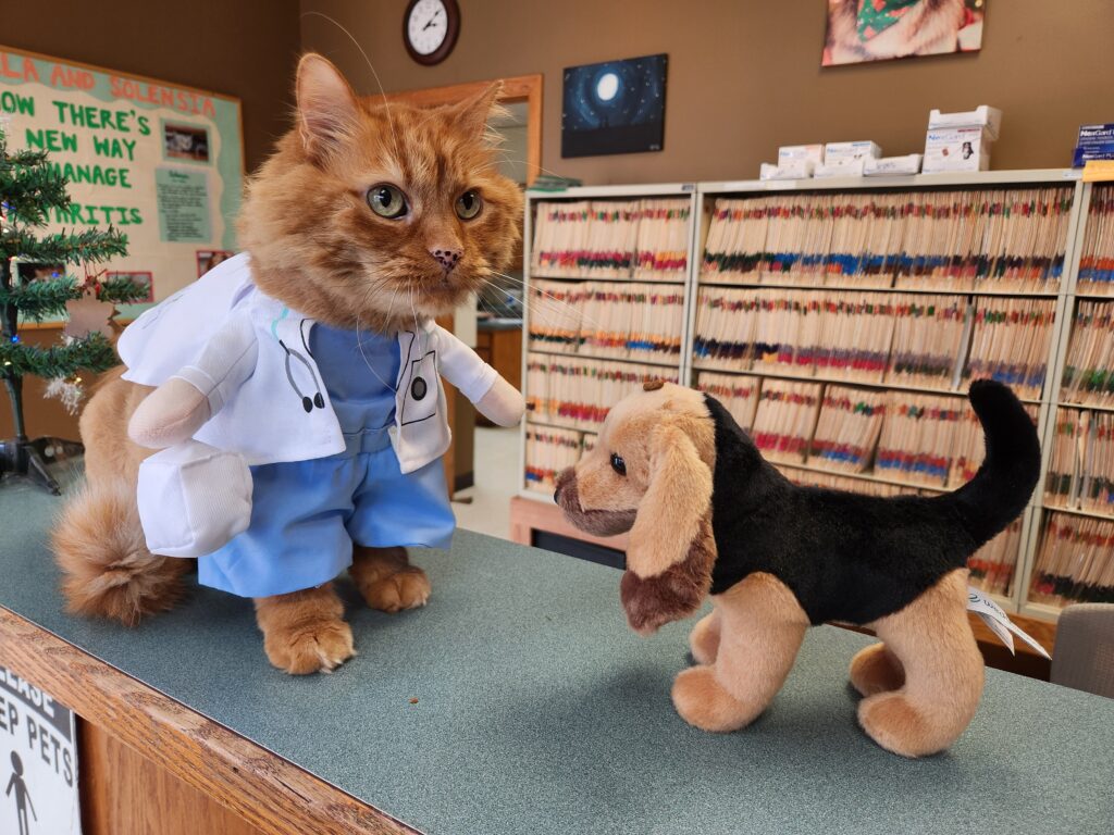 Lindstrom, MN Veterinary Jobs Mockup | Animal Medical Center Of Lindstrom