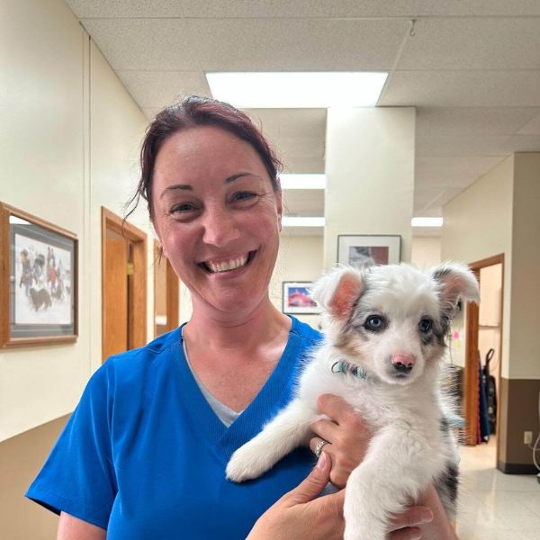 Lindstrom, MN Veterinary Jobs Mockup | Animal Medical Center Of Lindstrom