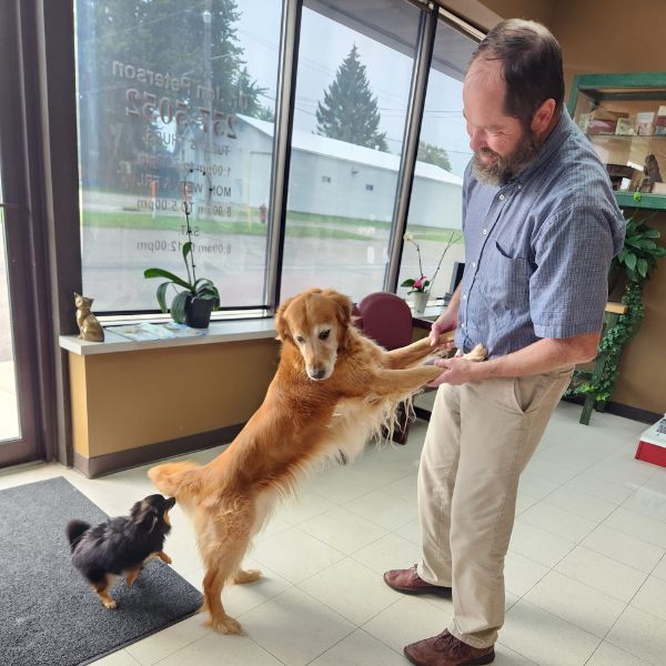 Lindstrom, MN Veterinary Jobs Mockup | Animal Medical Center Of Lindstrom